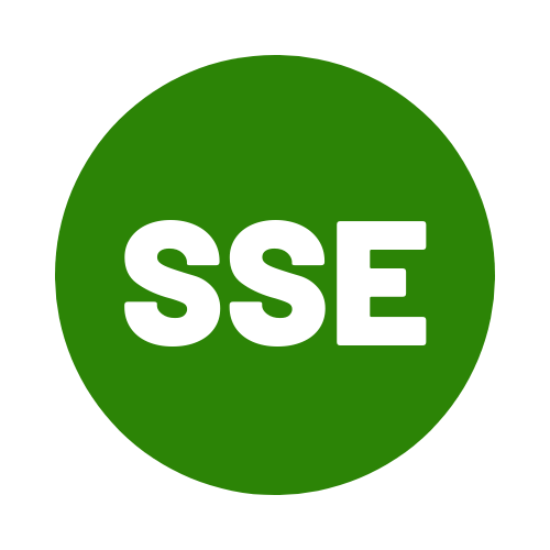 SSE (Short Service Employee) Hard Hat Sticker ( White on Green ...