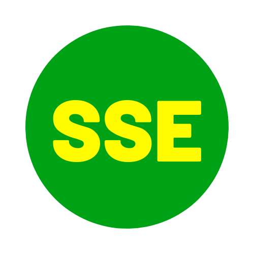 SSE (Short Service Employee) Hard Hat Sticker ( Yellow on Green ...